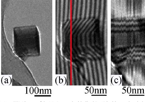 Figure 12 From Development Of Stage Scanning Electron Holography