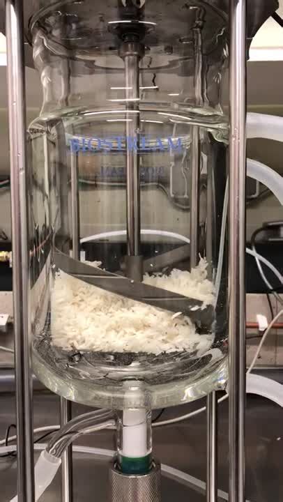 Marc Buevink On Linkedin Ssf Hydrolyse And Solid State Fermentation