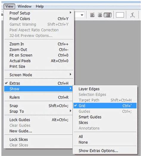 Usage Of Grid Tool In Photoshop Clipping Path Service