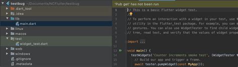 Issue Flutter Create Always Creates An Test Directory With A Code Error Inside · Issue