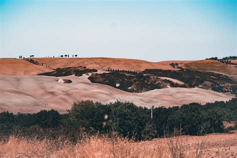 배경에 나무와 언덕이 있는 들판 사진 Unsplash의 무료 토스카나 주 이미지