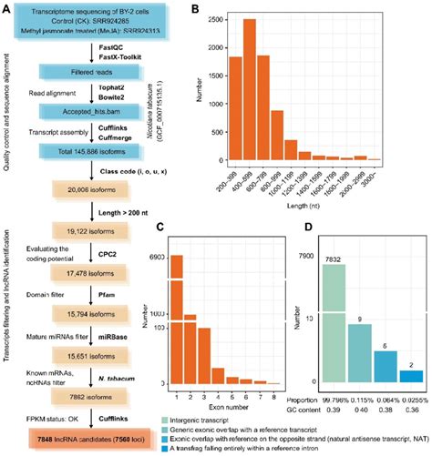 Identification And Characteristics Of Tobacco Long Noncoding Rnas Download Scientific Diagram