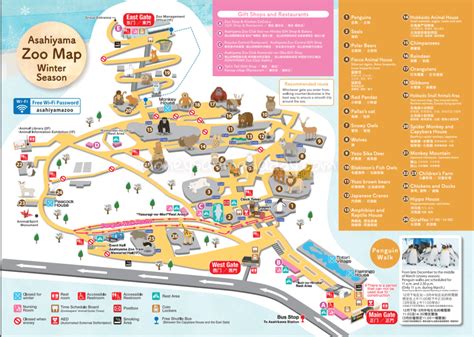 The Ultimate Guide To Asahiyama Zoo A Must Visit For Animal Lovers