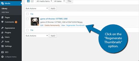 How To Easily Regenerate Thumbnails In Wordpress Greengeeks