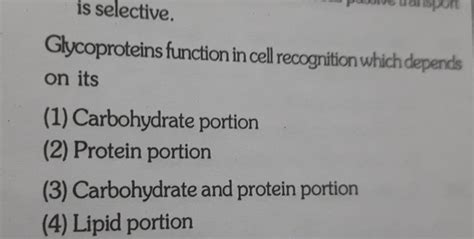 Is Selective Glycoproteins Function In Cell Recognition Which Depends On