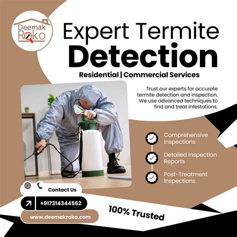 Expert Termite Detection And Inspection Services Deemakroko Medium