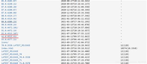 Selenium安装步骤selenium34怎么安装 Csdn博客