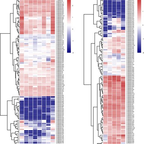 Hierarchical Clustering Of Gene Expression Levels Determined Using Download Scientific Diagram