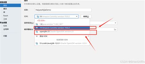 idea sqringboot项目 maven打包时报错：找不到符号 无法将类 com example haiyanzhijiademo pojo result中的构造器 result应用到