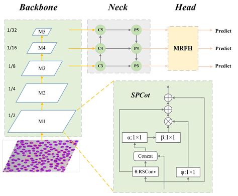 Multi Level Attention Split Network A Novel Malaria Cell Detection Algorithm