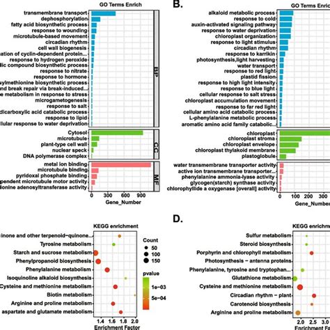 Functional Annotation Of Differentially Expressed Lncrnas By Go Download Scientific Diagram