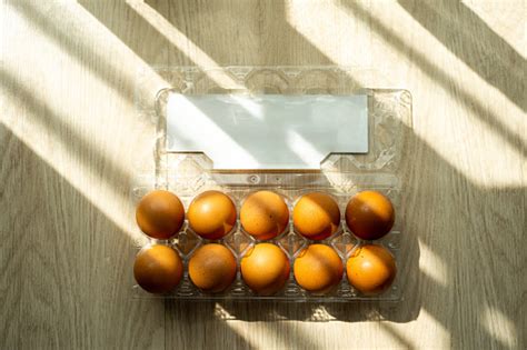 상단보기의 그림자 태양 빛에 나무 바닥에 배치 플라스틱 상자에 닭 계란 0명에 대한 스톡 사진 및 기타 이미지 0명 가금류 갈색 Istock