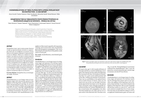 Pdf Chondroblastoma Of Tibial Plateau With Lateral Patelar Facet Reconstruction A Case Report