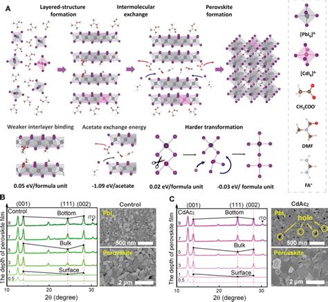 schematic formation of nano‐hole array pbi2 and fapbi3 films a