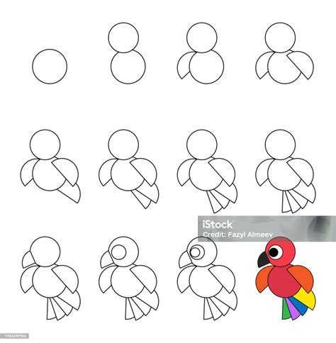 만화 앵무새 그리기에 대한 워크시트 쉬운 가이드 어린이를 위한 간단한 단계별 그리기 튜토리얼 0명에 대한 스톡 벡터 아트 및 기타 이미지 Istock