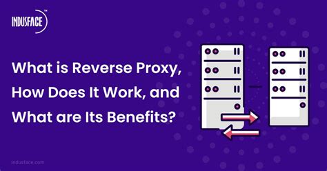 Reverseproxy Reverseproxyserver Webapplications Websitesecurity