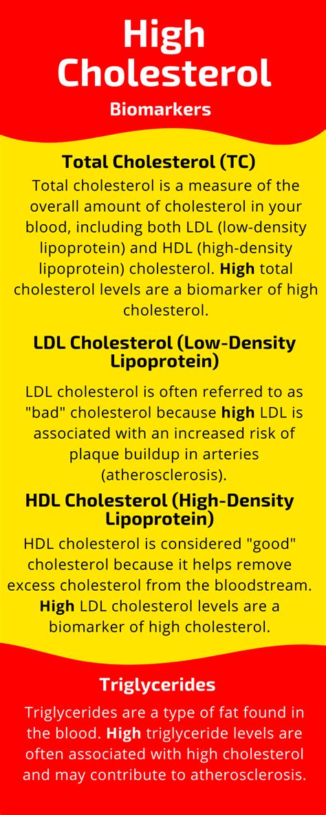 High Cholesterol Infographic Active Atoms