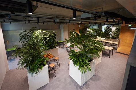 竣工写真を追加しましたhRp a NEWS T PLASTERティープラスター