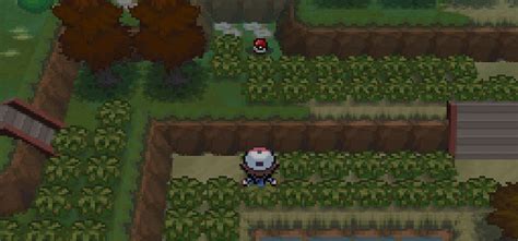 Where To Get Tm86 Grass Knot In Pokémon Black And White Guide Strats