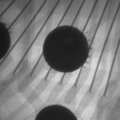 Using A Security Scanner