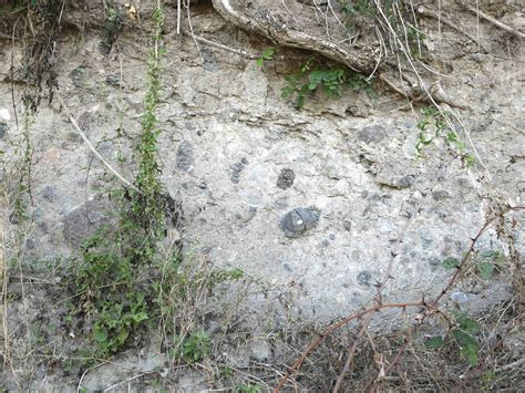 Mineralienatlas Lexikon Lapilli Tuff English Version