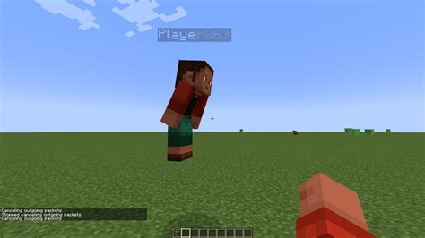 Delay Packets Minecraft Mod