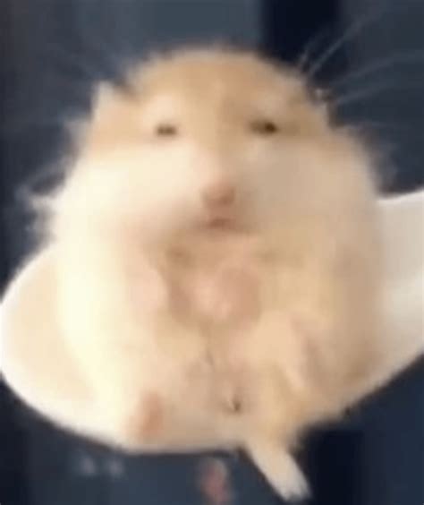 Satan Rule 63 Rthebindingofisaac