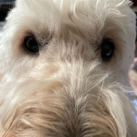 Elizabeth Sassi Youtube