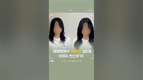애매한 머리 길이 간단하게 고민해결 유잇다붙임머리 광주붙임머리 유잇다붙임머리광주점 중단발붙임머리 애매한길이붙임머리 붙임머리추천 Youtube