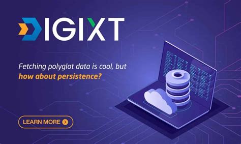 Polyglot Persistence Storage Solutions Digixt