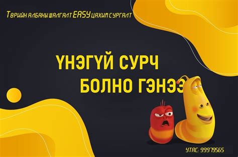 Төрийн албаны шалгалтад бэлтгэх зөвлөгөө НИЙСЛЭЛИЙН ТӨР ЗАХИРГААНЫ БАЙГУУЛЛАГУУДЫН 227 АЛБАН