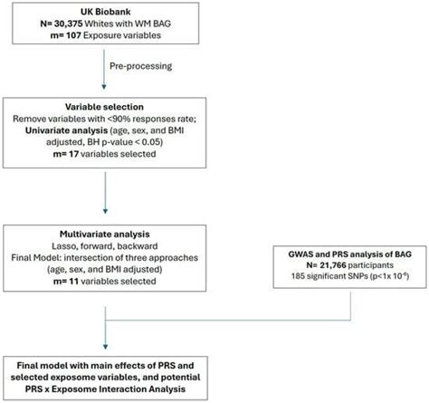Halley Milleson On Linkedin Nongenetic And Genetic Factors Associated