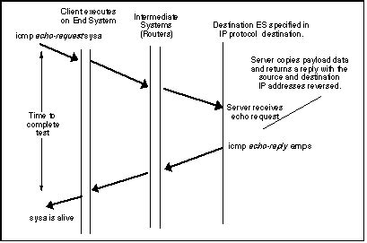 Internet Control Message Protocol ICMP