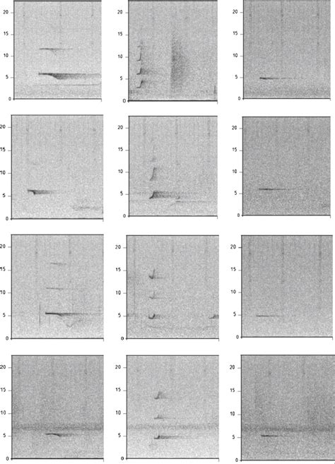 Spectrograms Illustrating The Three Different Types Of Download