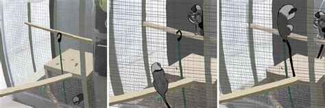 I6 Watching I5 In The Retrieve Show Manipulate Sequence Download