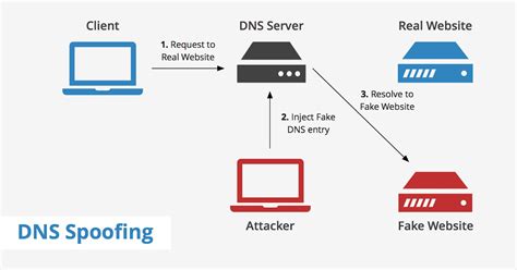 Basic Internet Knowledge Review Tcp Dns Ip Address