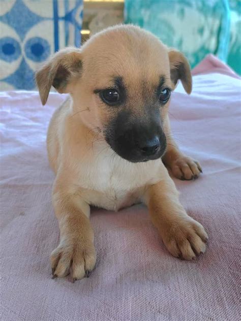 Спаси Спаси Живот Дари Любов Save A Life Give Love