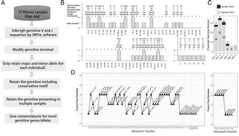 Figure 1 From Identification Of Variable And Joining Germline Genes And