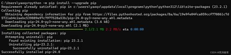 【python】pip 使用方法详解数据库kangle