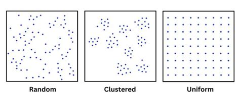 Spatial Pattern Khám Phá Ý Nghĩa Ví Dụ Và Cách Sử Dụng Cụm Từ Trong