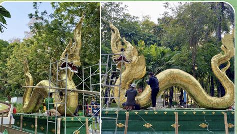 ក្រុមការងាររៀបចំសង្ក្រាន្តវត្តភ្នំ កំពុងតែមមាញឹក រៀបចំ រូបនាគធ្វើពីឫស្សី លាបពណ៌មាសយ៉ាងស្រស់ស្អាត