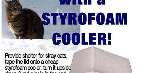 Reuse Your Old Disposable Cooler Imgur