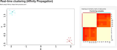 dynamic clustering application in affinity propagation using r shiny