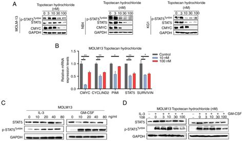 Targeting Of Stat5 Using The Small Molecule Topotecan Hydrochloride Suppresses Acute Myeloid