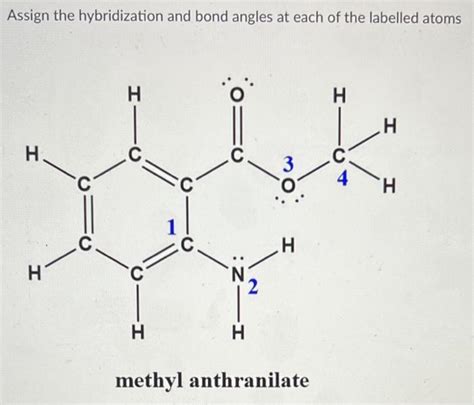 [solved] please answer and explain assign the hybridization