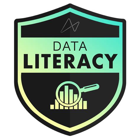 Data Literacy Foundations Maven Analytics