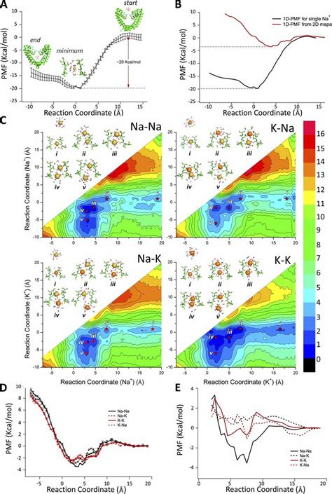 Calculated Energy Profiles And Contour Maps For Single Ion And Two Ion
