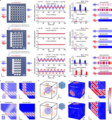 Dynamic Experiments And Wave Function Programmability Of The Download Scientific Diagram