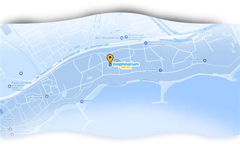 Делфинариум Варна Официален сайт