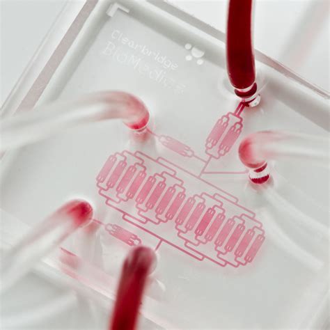 Single Cell Microfluidics Instrument And Chip A Diagr